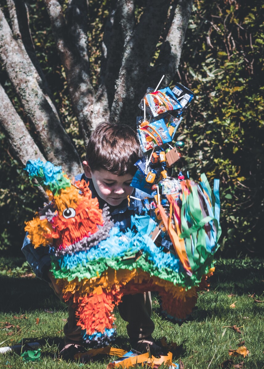 Best Things To Do In Hamilton With kids | Lets Go Kids NZ