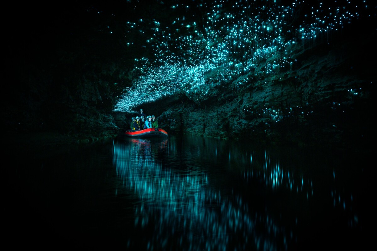 WAITOMO Archives - LetsGoKids